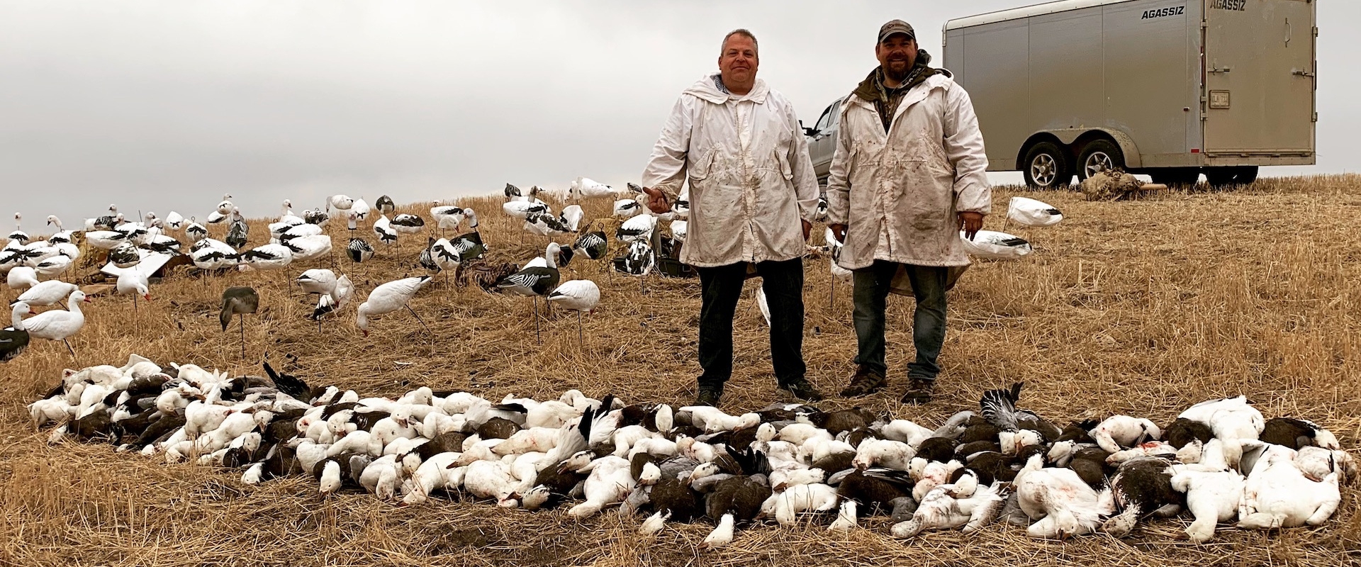 Michitoba Outfitting - Guided Whitetail Deer, Spring Snow Goose, Fall ...